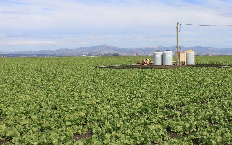 Regulating Fertilizer Applications in Agriculture For Healthier Crops ...