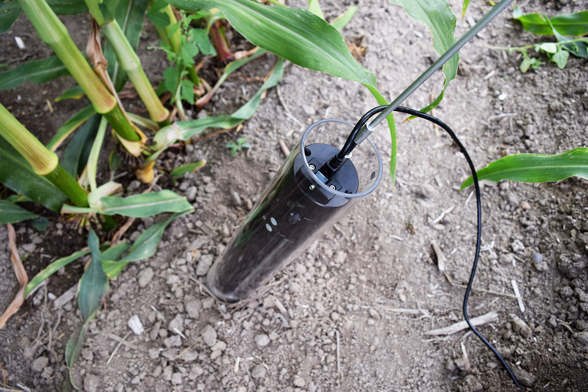 Thiết bị chụp ảnh rễ thực vật tại chỗ CI-600 - hãng CID - Mỹ - Công ty TNHH Công nghệ PCR Việt Nam